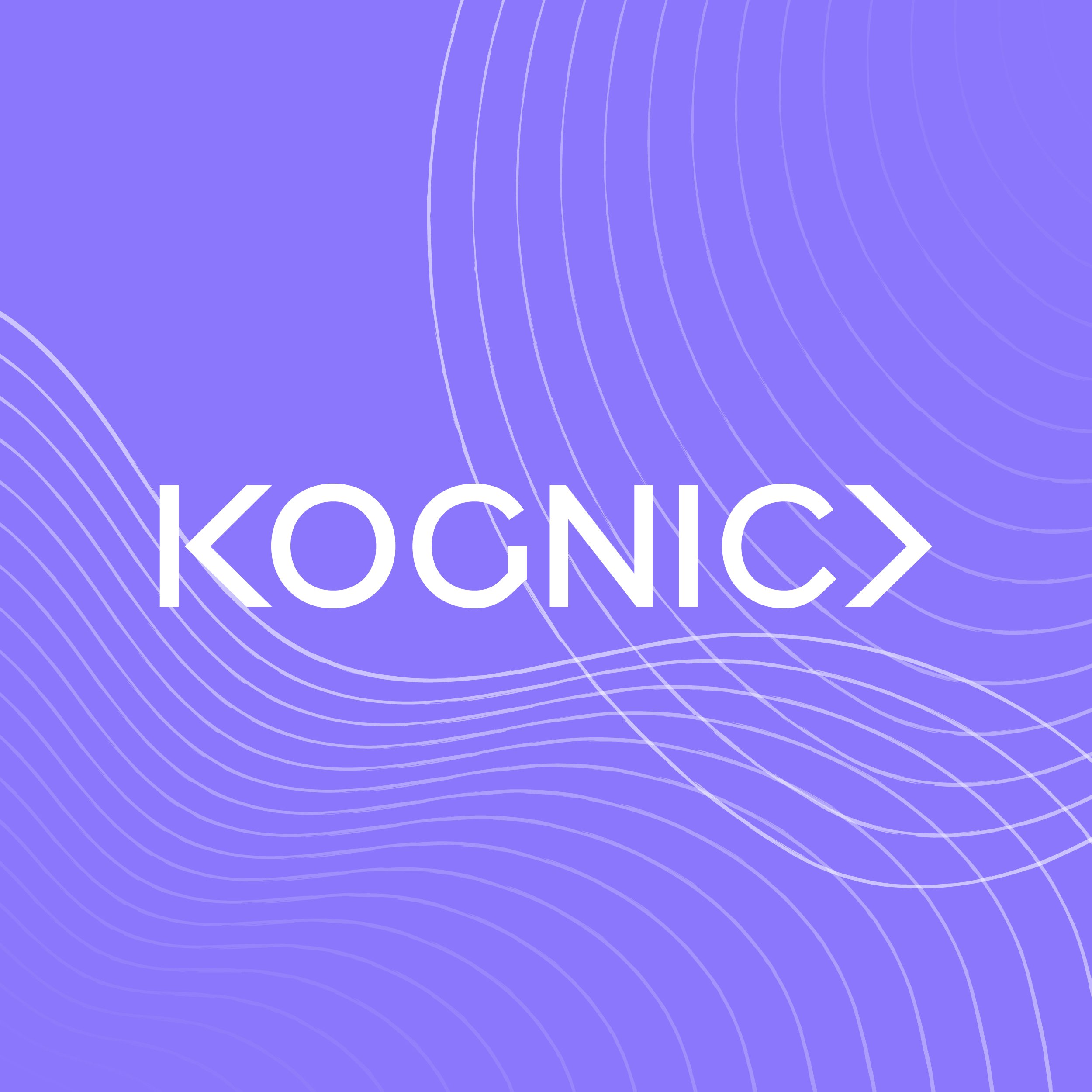 Introducing The Kognic Platform